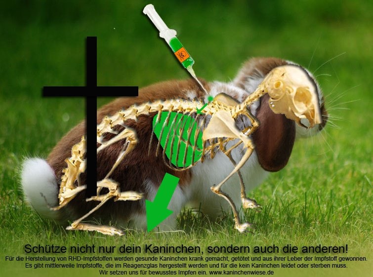 Plakate