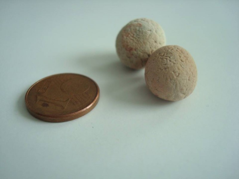 Nieren- und Harnwegserkrankungen