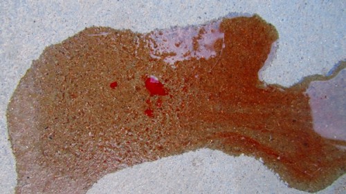 Urin- und Köttelkunde