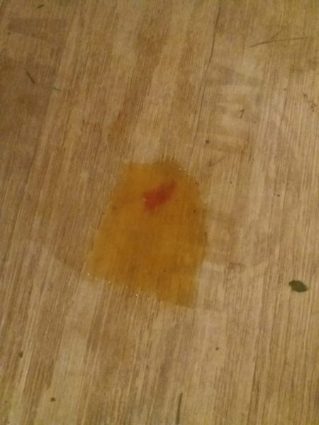 Schmutziges Hinterteil – was tun? Baden & Hautpflege? - Unkategorisiert