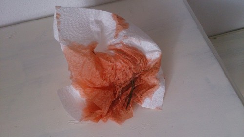 Urin- und Köttelkunde