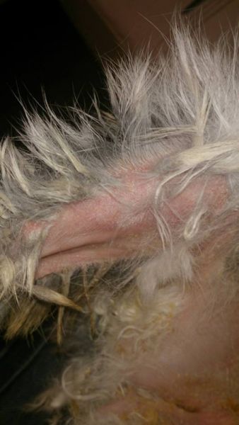 Schmutziges Hinterteil – was tun? Baden & Hautpflege? - Unkategorisiert