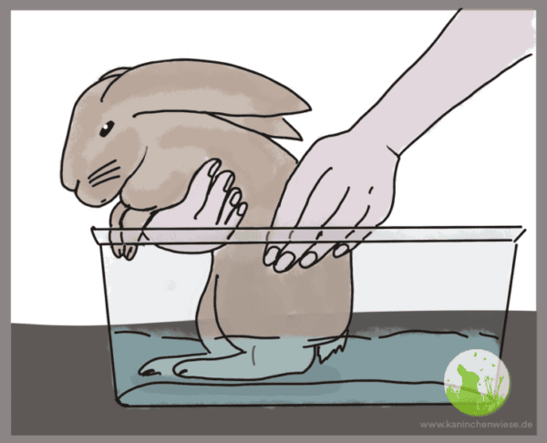 Schmutziges Hinterteil – was tun? Baden & Hautpflege? - Unkategorisiert